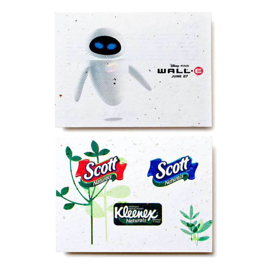 Custom Printed 4 x 5 Eco Friendly Seed Paper Postcard