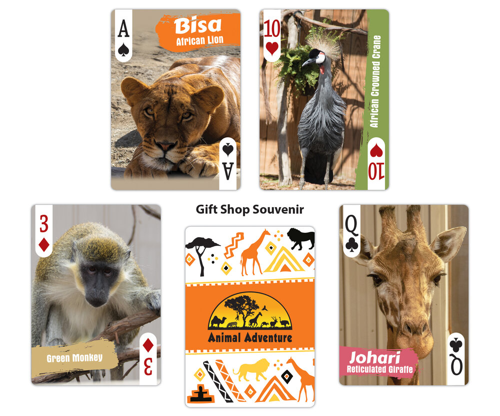 Custom Printed Custom Back and Faces Playing Cards