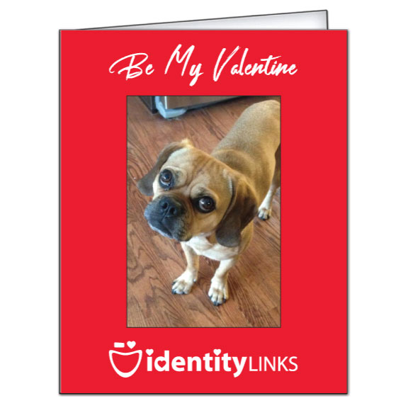 Promotional 2 x 3 Highland Photo Cards