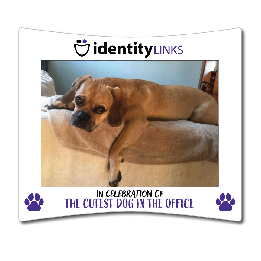 8 x 10 Curved Photo Framewith Logo