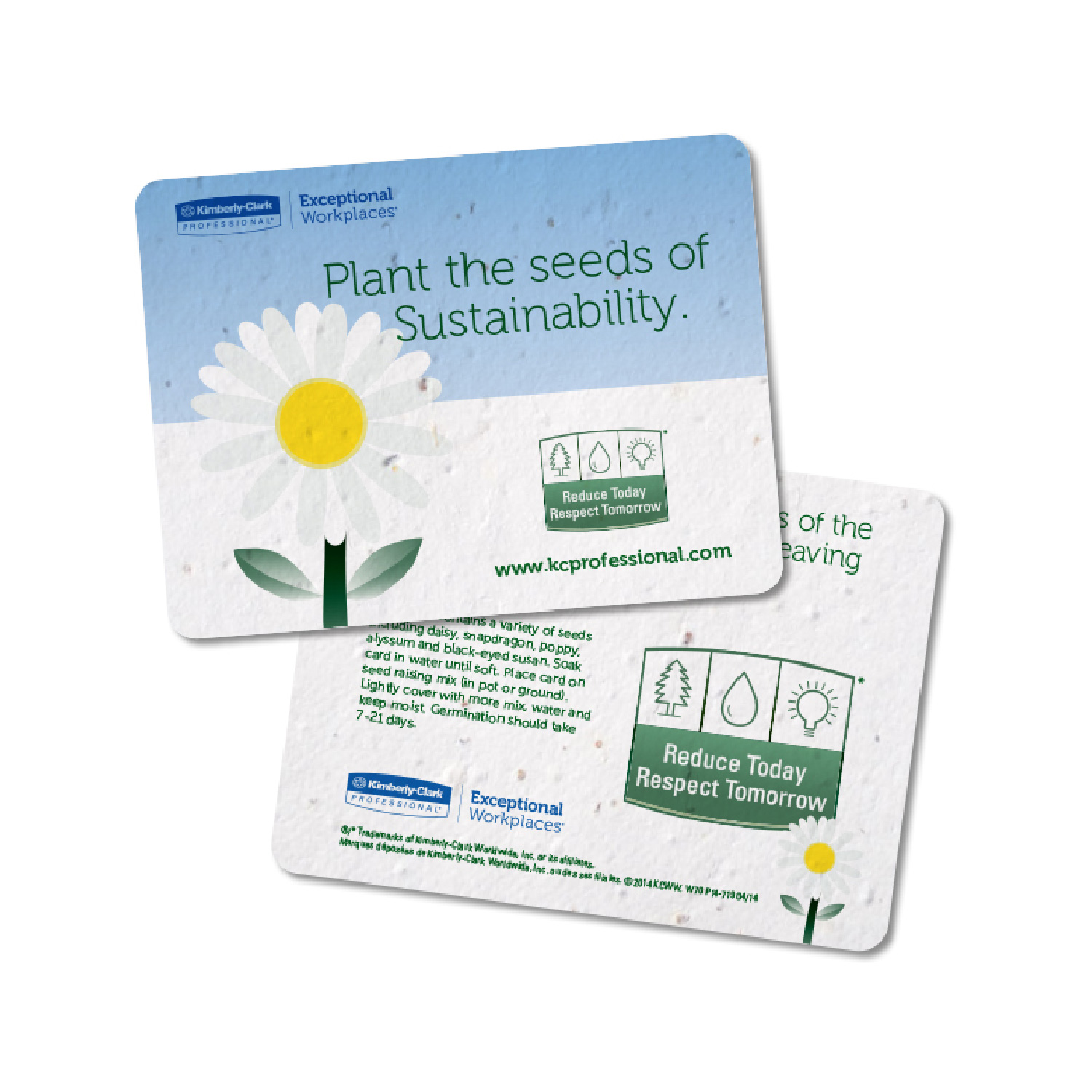 Imprinted 3 x 4 Small Eco Friendly Seed Paper Postcard