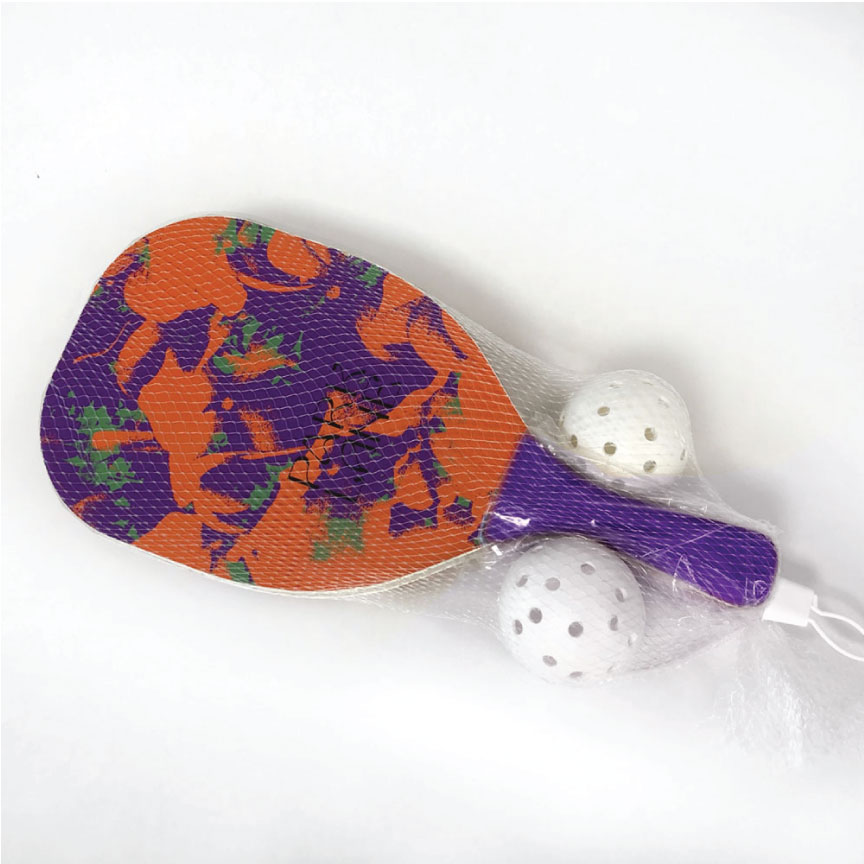 Promotional Full Color Pickleball Set